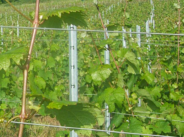 Karl Stumpf Landesproduktenhandel GmbH | Agrobrain